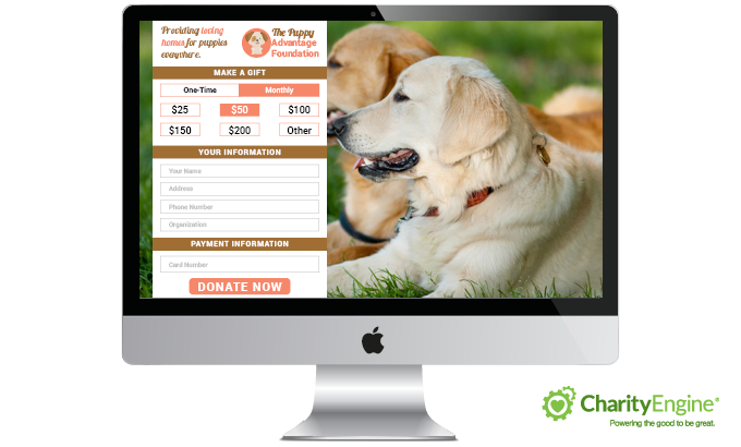 Multi-Channel Fundraising: What Nonprofits Needs to Know